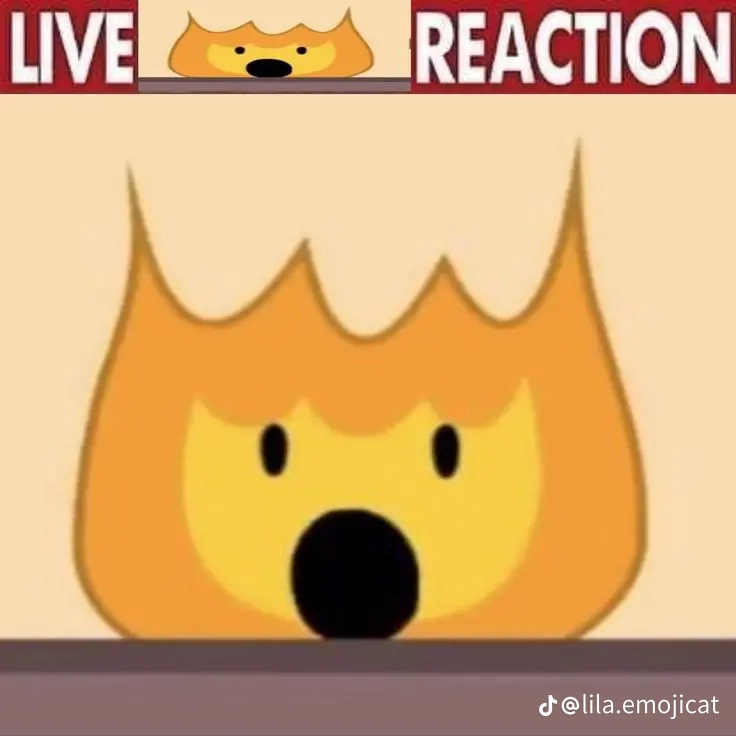 fireoiny is so ruikasa core | Fandom