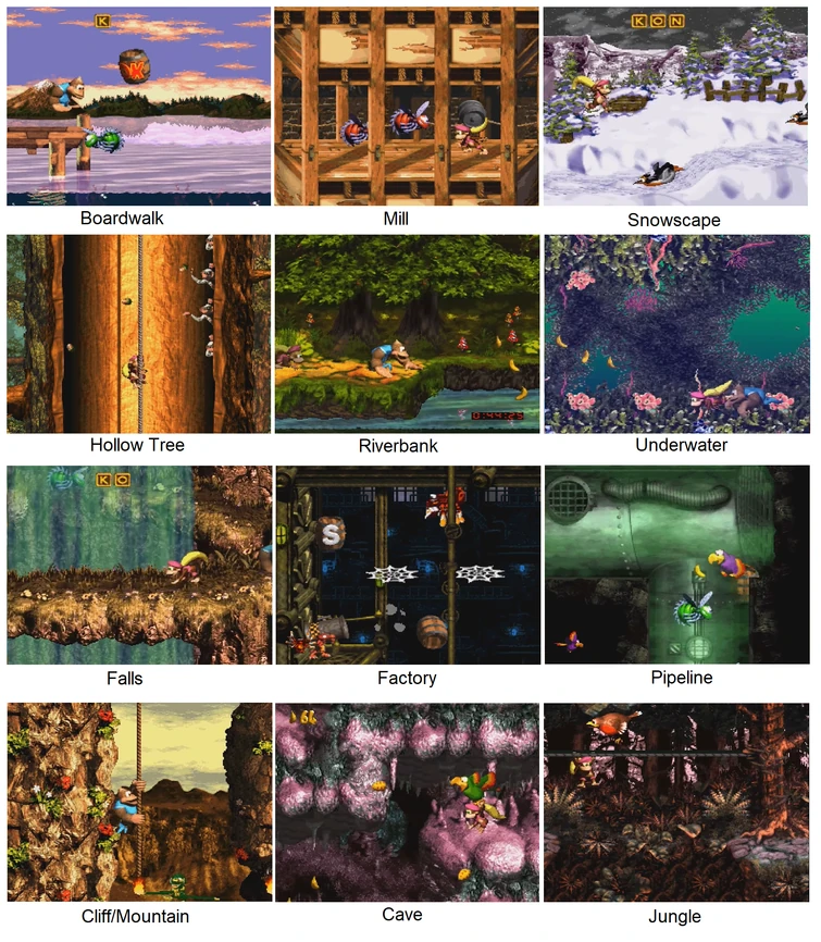 Favorite DKC3 Environment? | Fandom