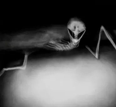 Discuss Everything About Doctor Nowhere Creatures Wiki | Fandom