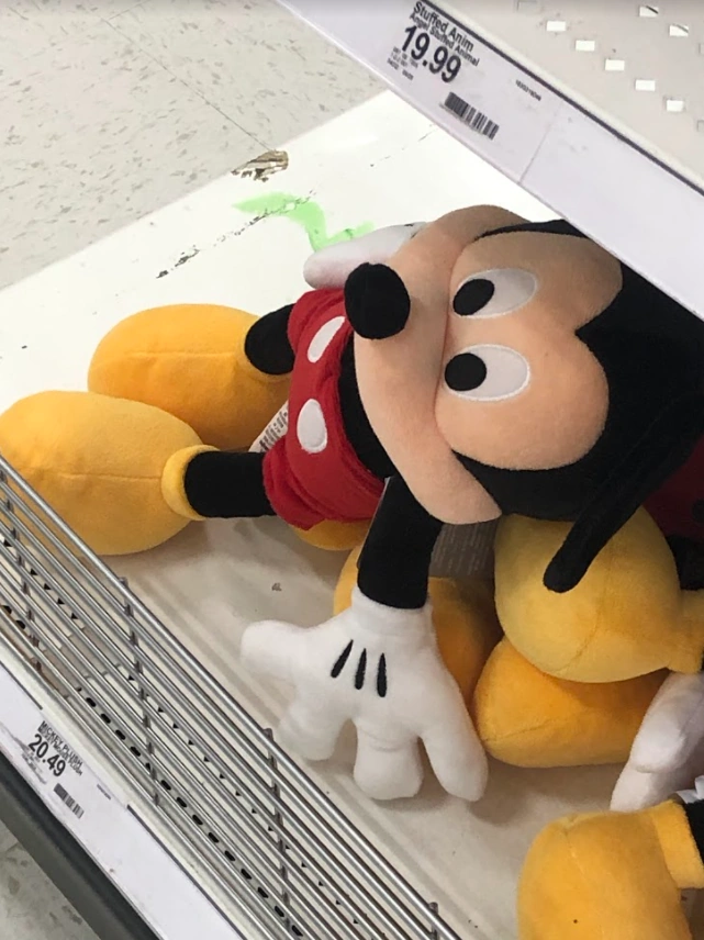 route 6 thoughts | Fandom