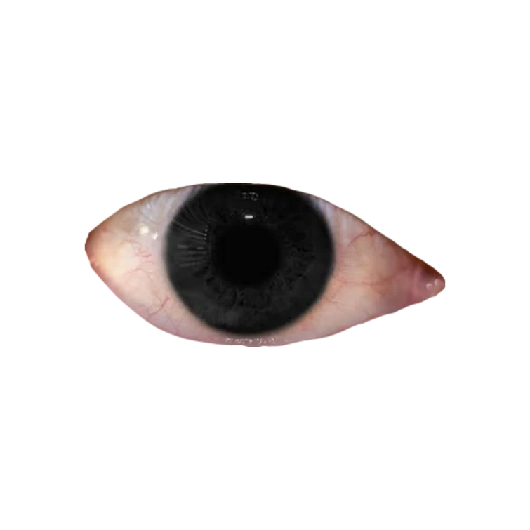 Discuss Everything About Rooms: Fixed Expanded Official Wiki | Fandom