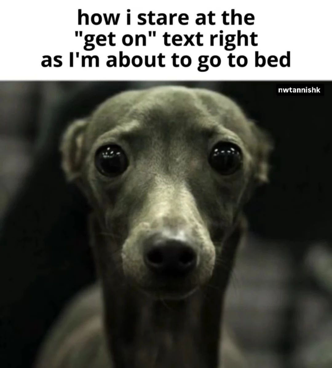 Buying master gacha tokens | Fandom