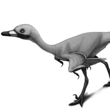 Discuss Everything About Dinopedia | Fandom