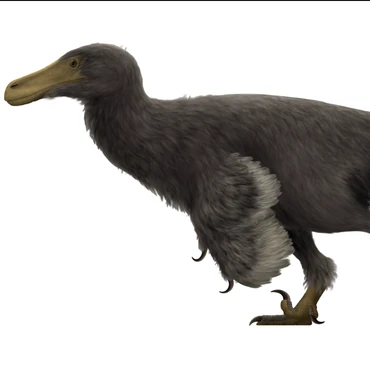 Discuss Everything About Dinopedia | Fandom