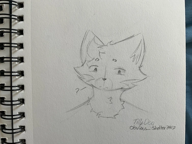 Discuss Everything About Cat Ninja Wiki | Fandom