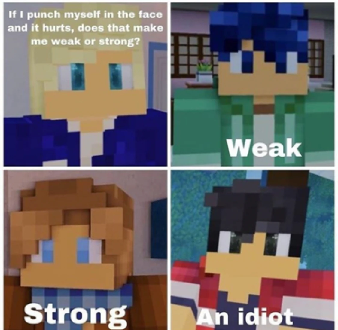 Meme | Fandom