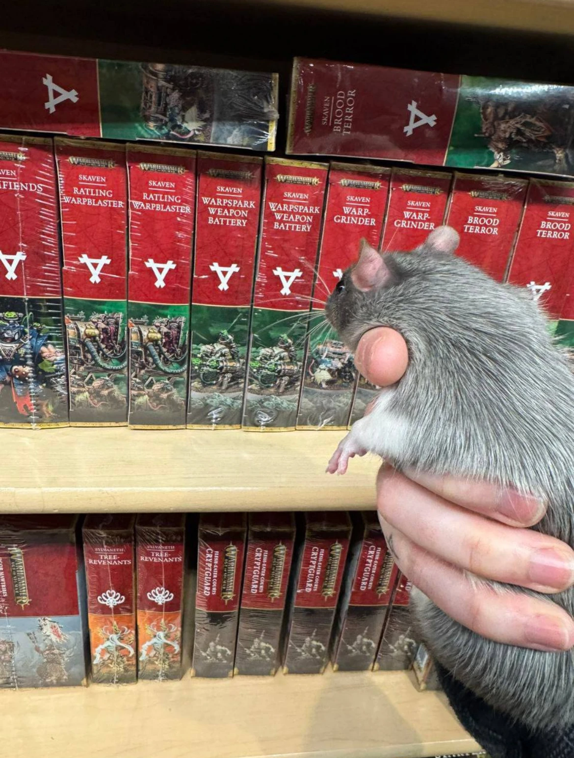 Say hi to Mr Toe | Fandom