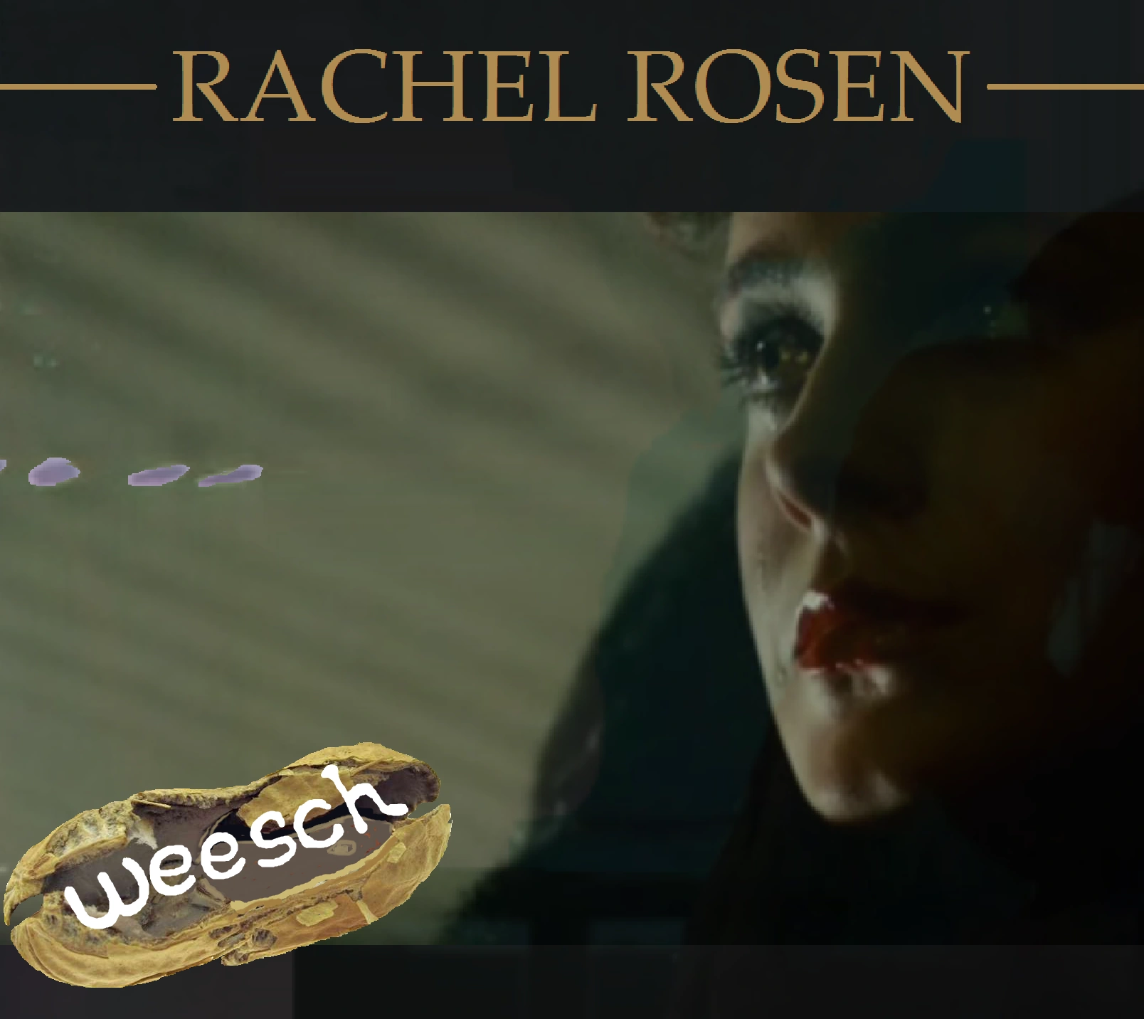 Rachel Rosen Memories | Fandom