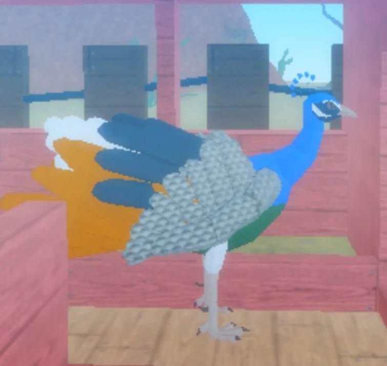 Discuss Everything About Feather Family Wiki | Fandom