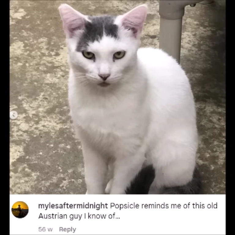 4chan in a nutshell | Fandom