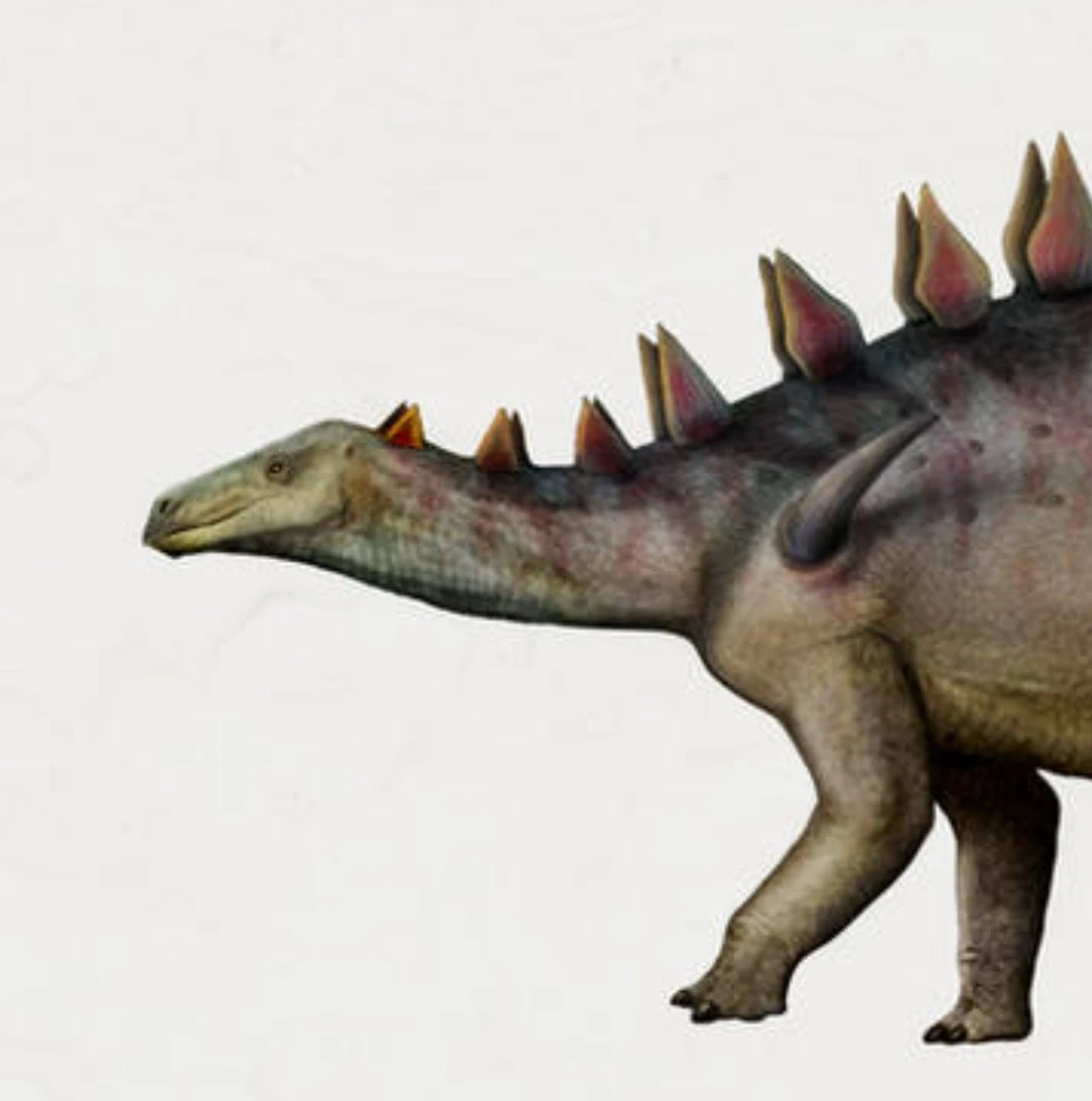 Dino Battles Mini - Recap | Fandom