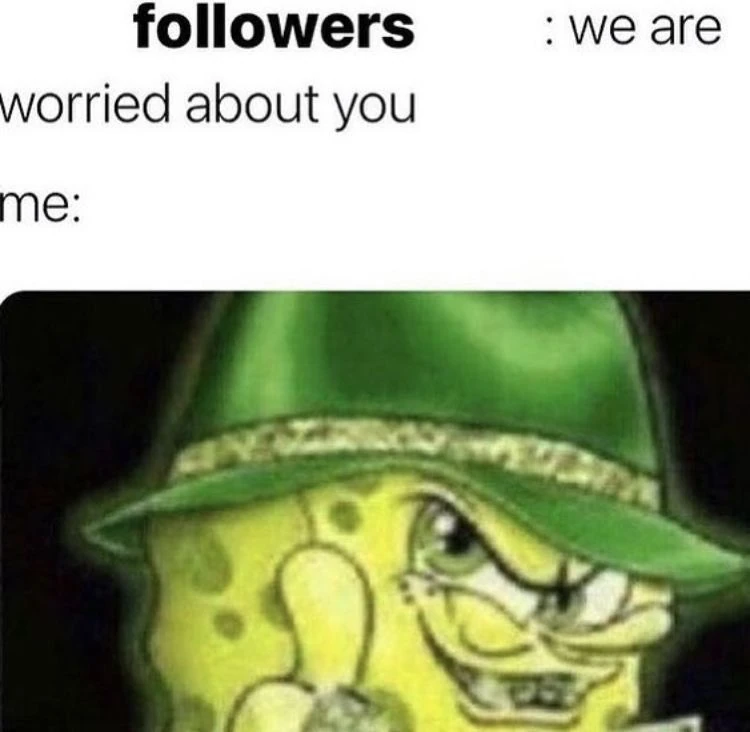 salutations chat | Fandom