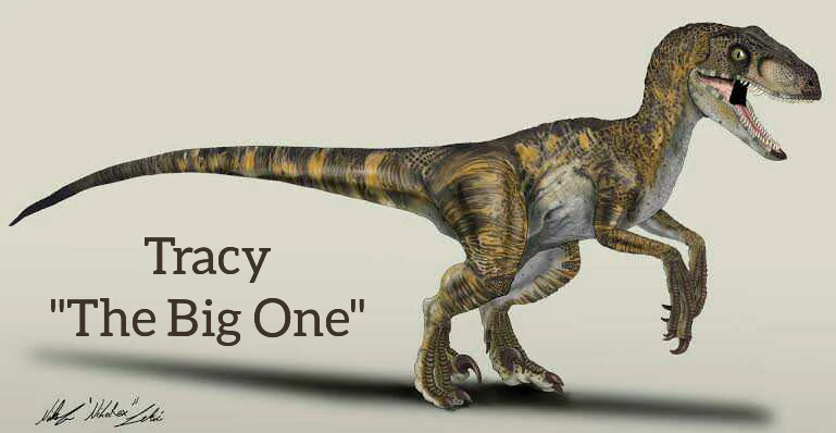 Jurassic Park 1 Raptor Pack (With names and personalities) | Fandom