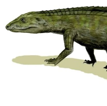 Discuss Everything About Dinopedia | Fandom