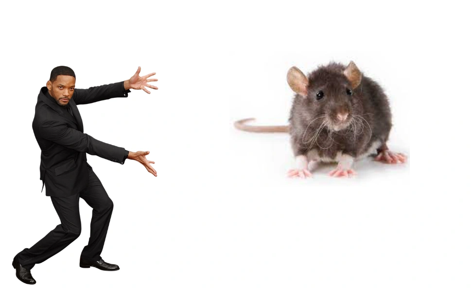 emo rat creature sona hehehehe | Fandom