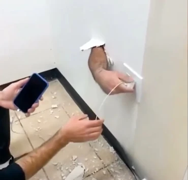 Unfinishee, Banishee. | Fandom