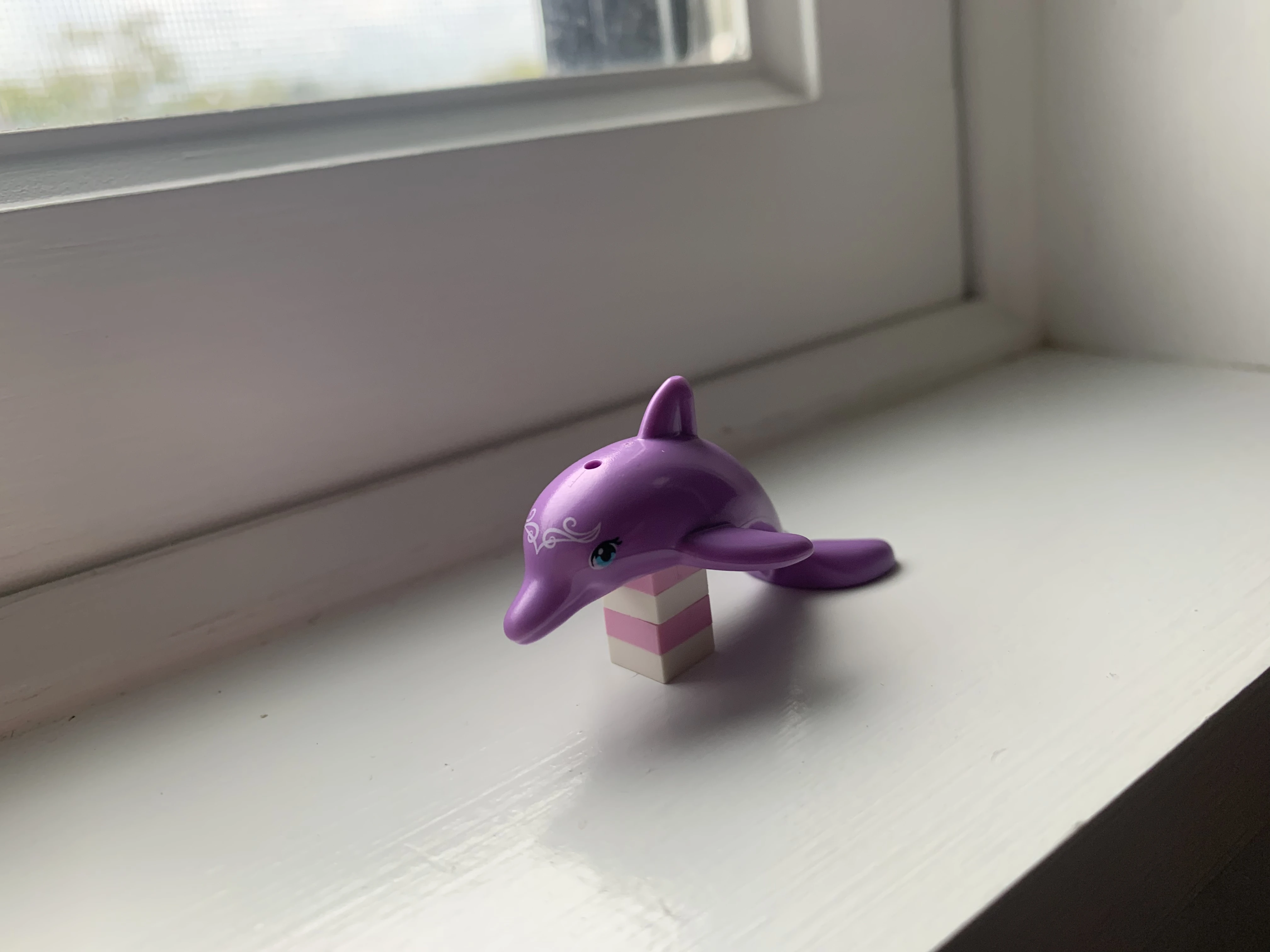 “Air Dolphin?” | Fandom