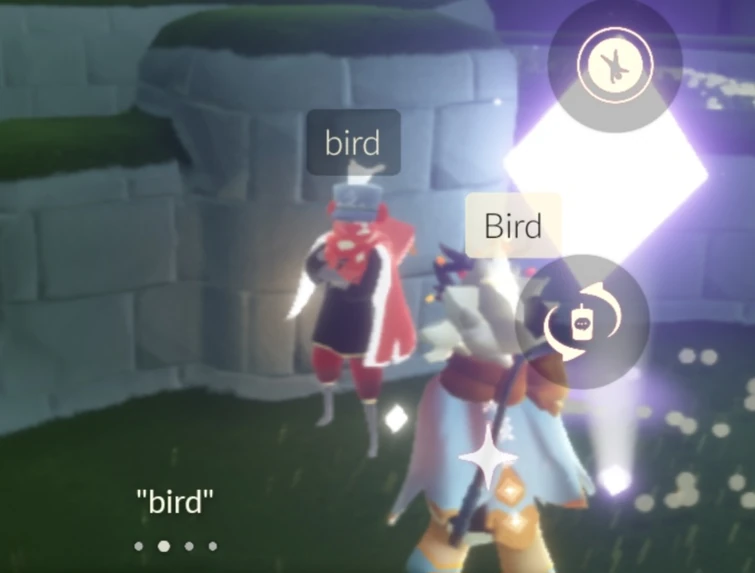 bird | Fandom