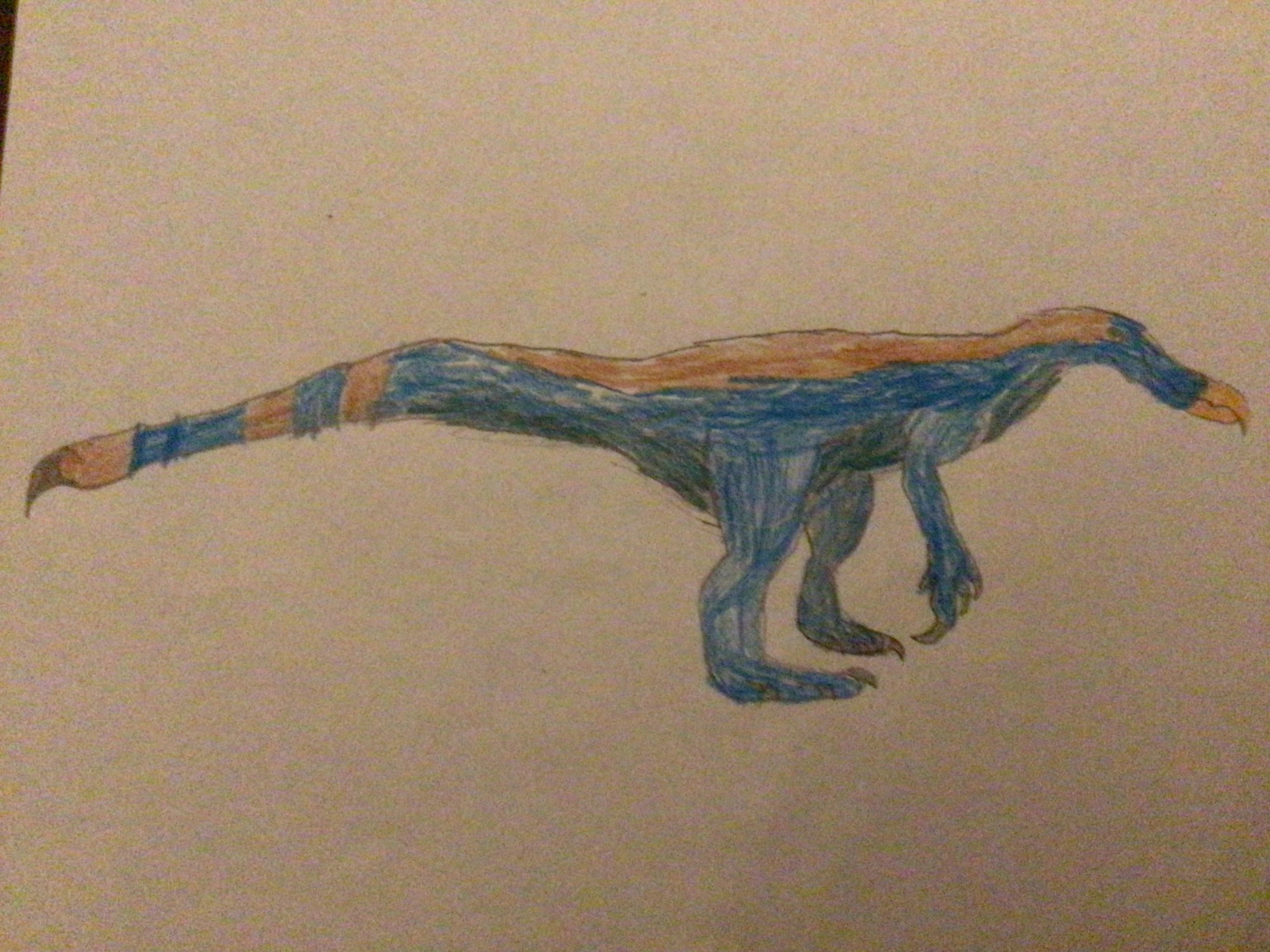 Crepidovenator: The base of many species | Fandom