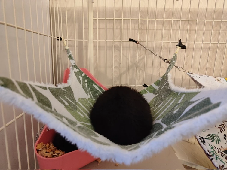 black hole taking a nap :3 | Fandom