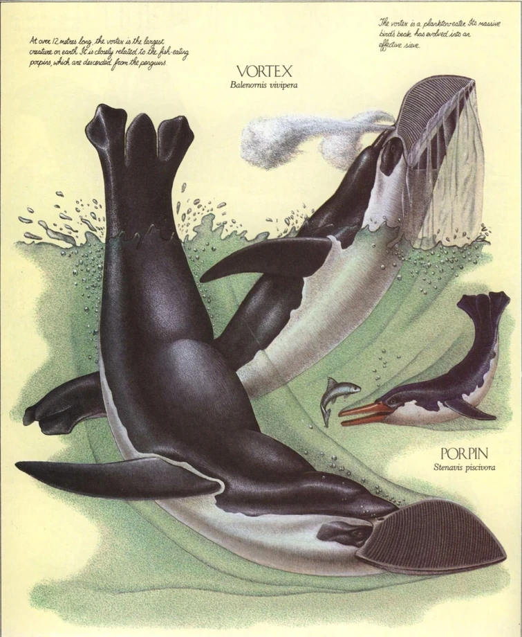 I'M FEEDING EVERYONE TO THE VORTEX | Fandom