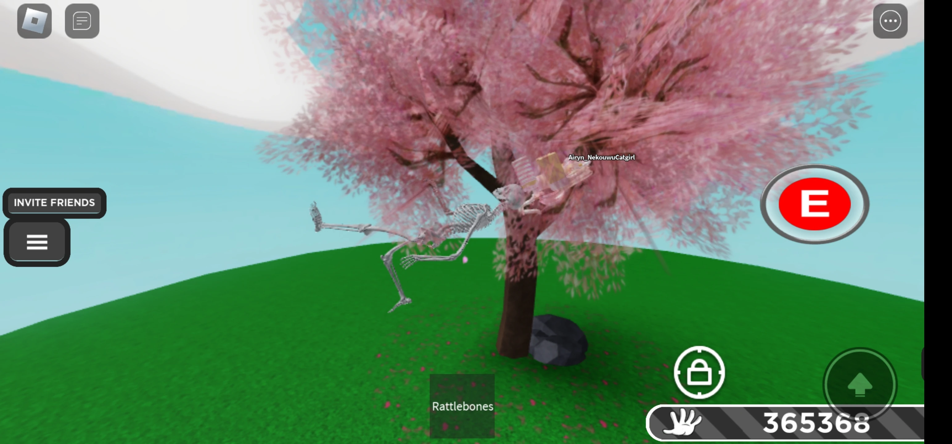 Mr Rattlebones gets exercise. | Fandom