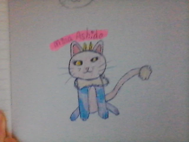 Mina as a cat! | Fandom