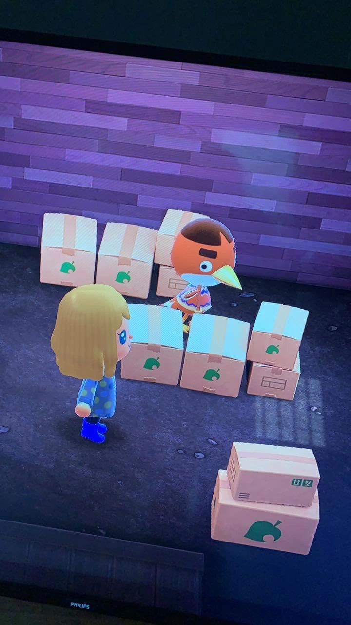 Anchovy is in boxes make a offer. | Fandom