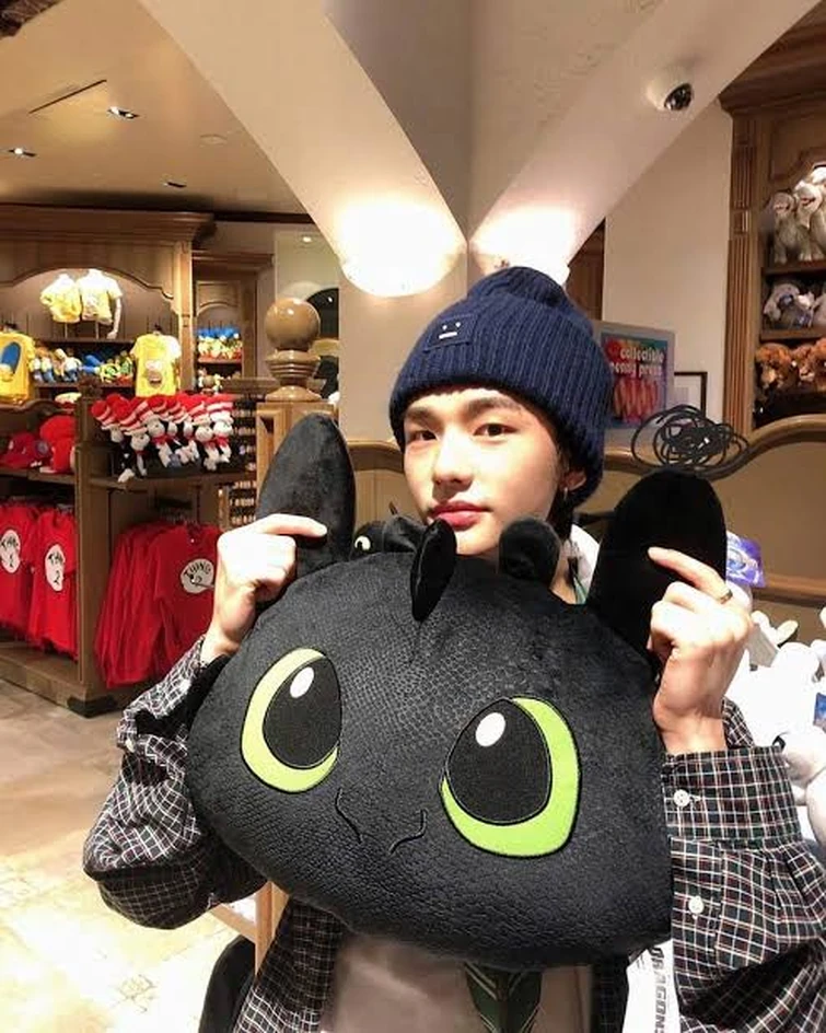 Hyunjin with his Soft Toy's Toothless | Fandom