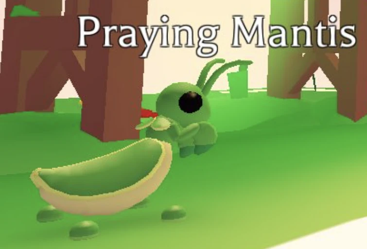 well whadya know, it is a praying mantis | Fandom
