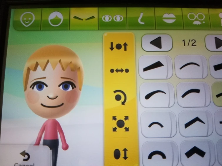 Custom Mii: Maxim | Fandom