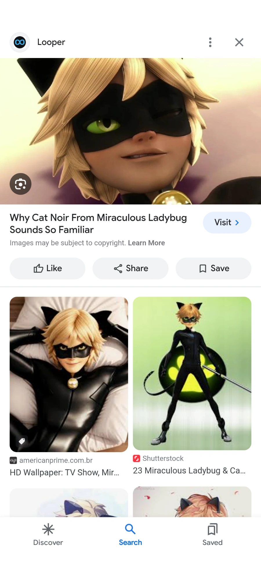 Cat noir | Fandom
