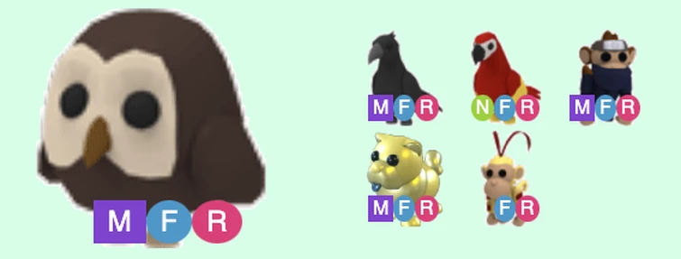 should i do any of these for my mega owl? | Fandom