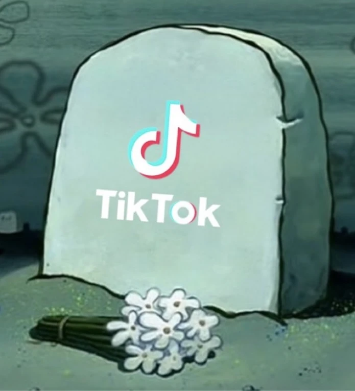 Rip TikTok | Fandom