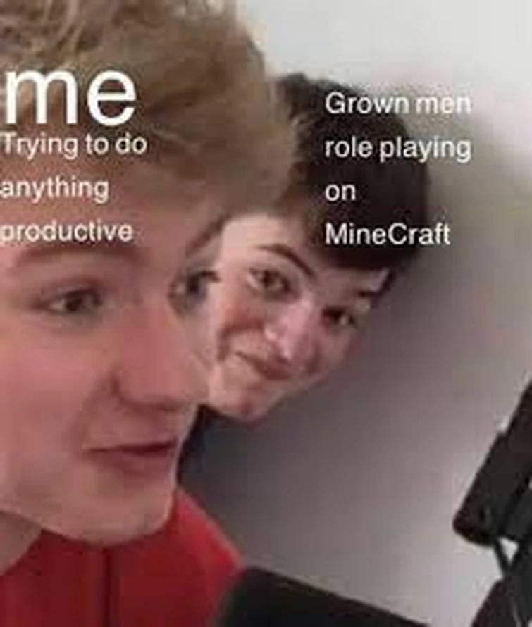 dsmp memes part 4 | Fandom