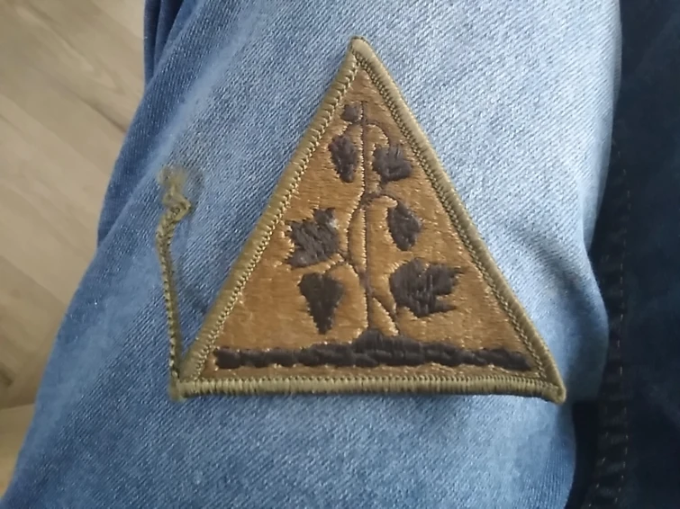 So i got a conetticut national gaurd patch | Fandom