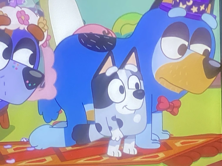 Fanon Bluey Episode (Rp starts now) | Fandom