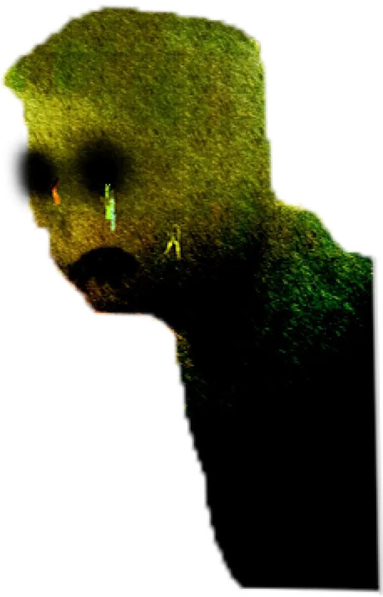 Discuss Everything About Five Nights at Freddy's Wiki | Fandom