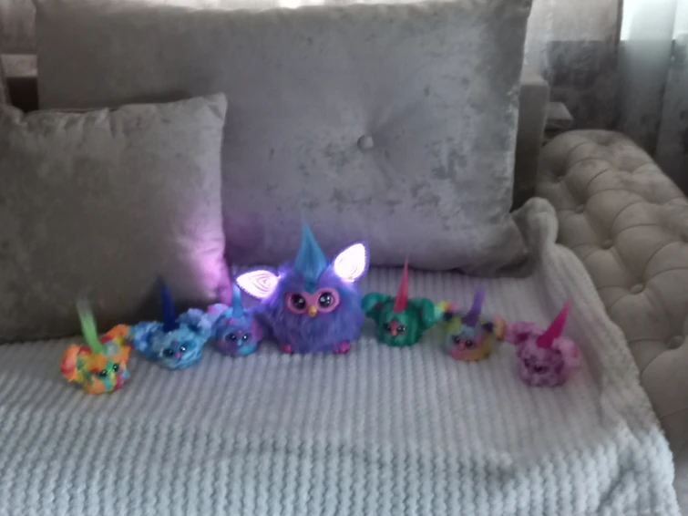 All 6 furblets and my furby! | Fandom
