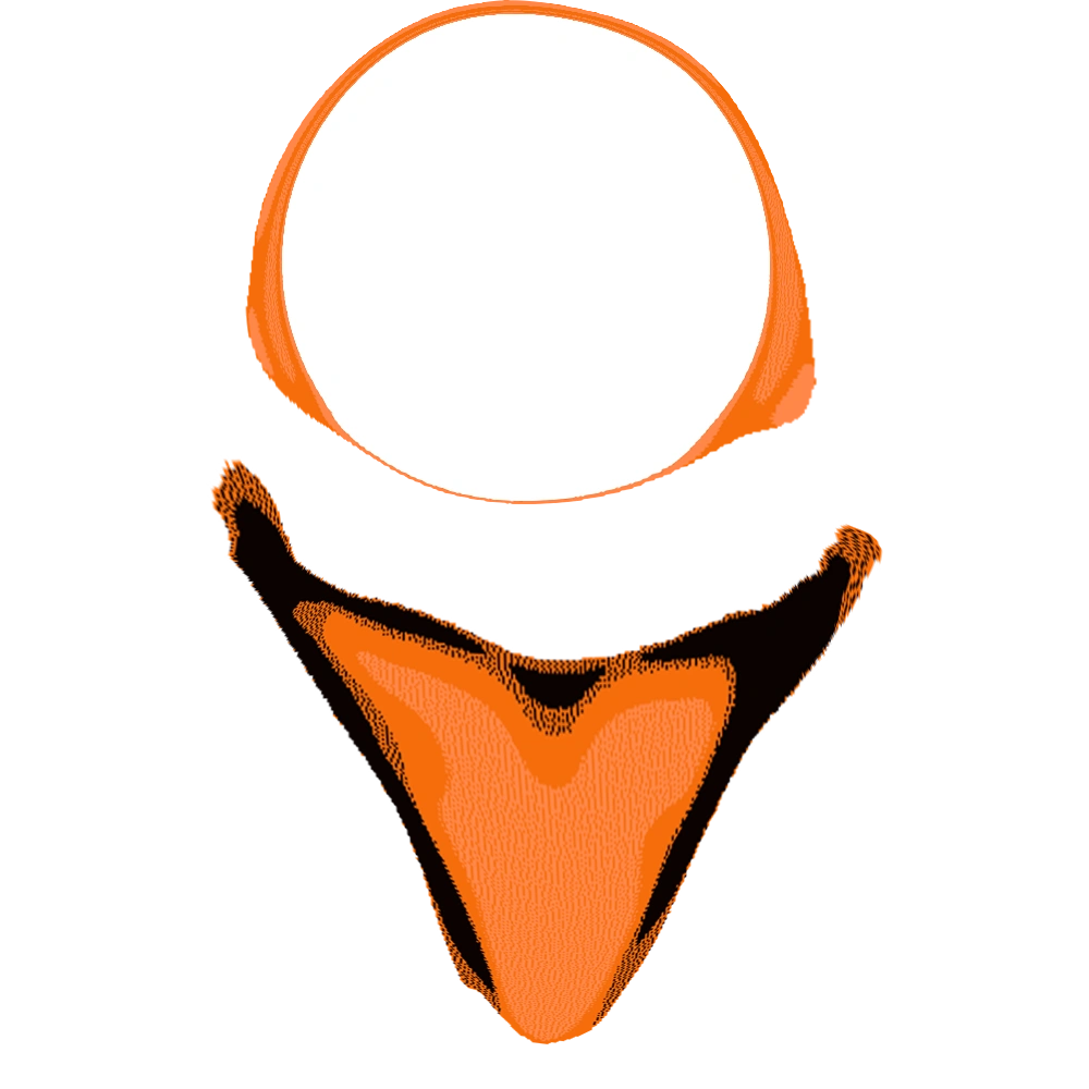 The bullies | Fandom