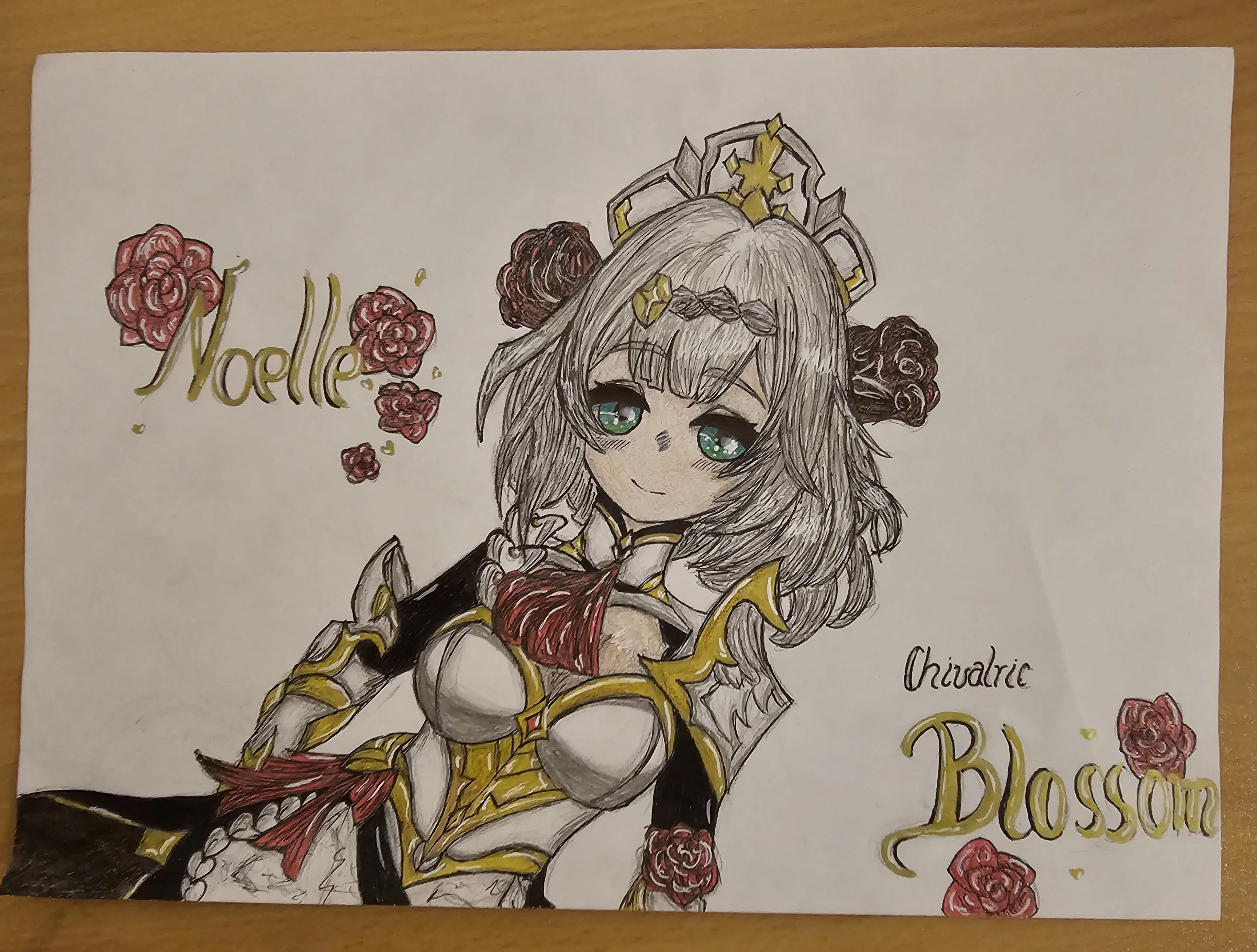 Noelle drawing results