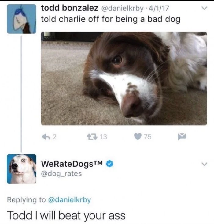 I love the we rate dogs account ️ | Fandom