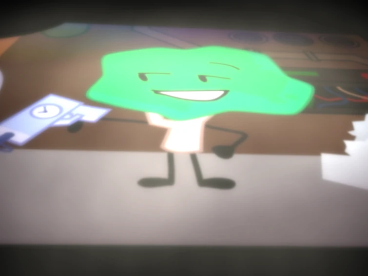 Don't sit front row at the BFDI meetup experience | Fandom