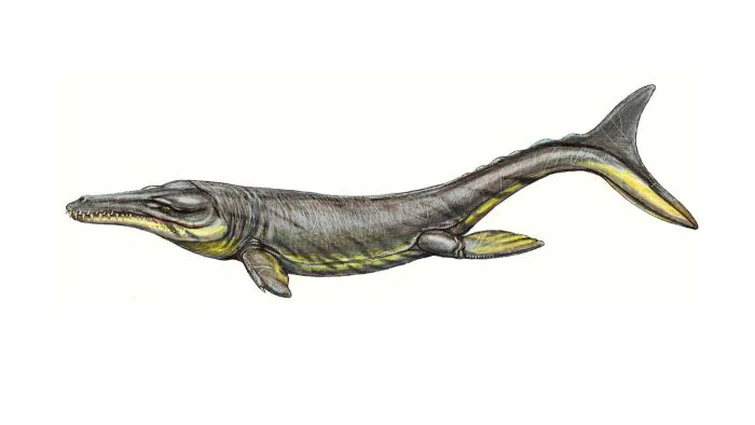 Walking with Dinosaurs Remake:Episode 3(Aquatic Hunters) | Fandom