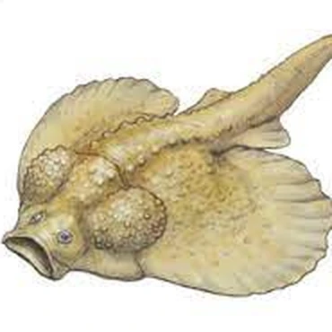 Discuss Everything About Dinopedia | Fandom