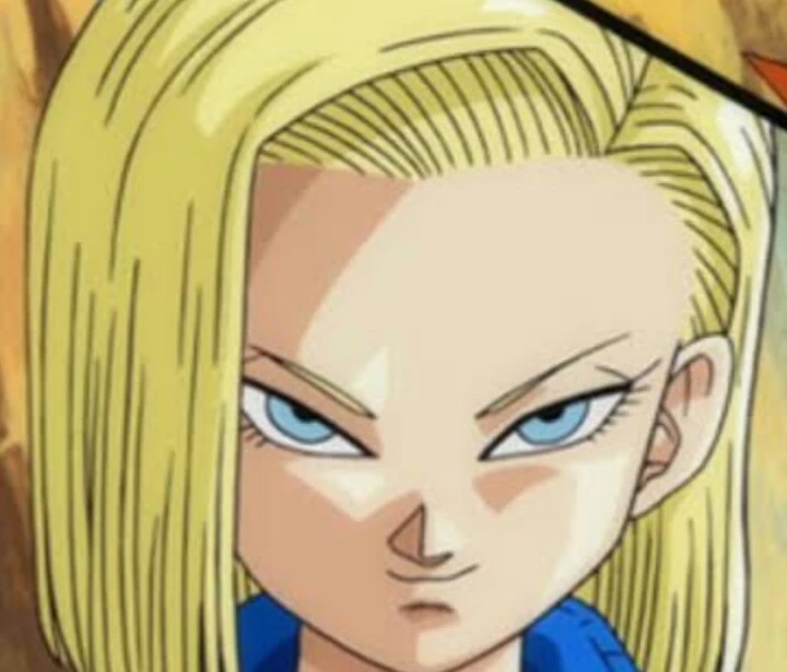 Androide número 18 | Fandom