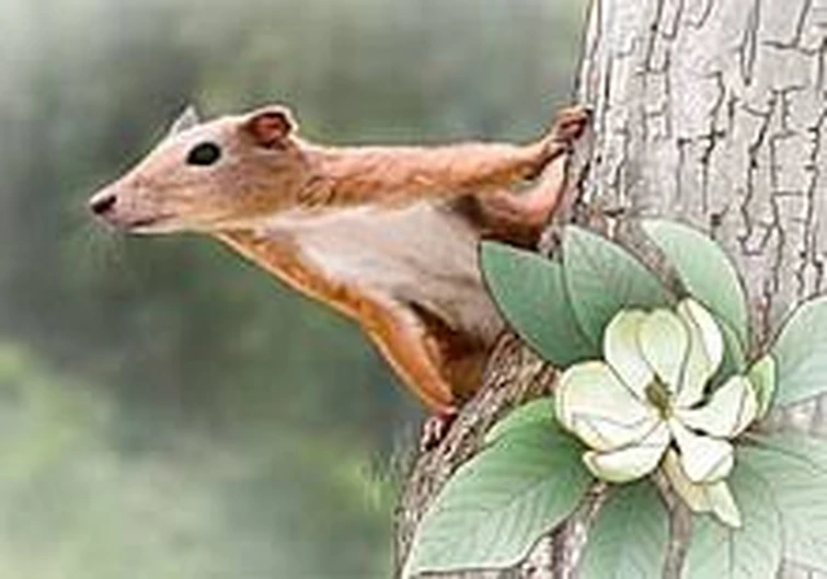 Duckhunt's 100 favorite Prehistoric animals | Fandom