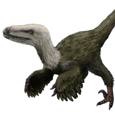 Discuss Everything About Dinopedia | Fandom