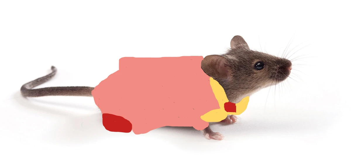 Real Life Norrie | Fandom