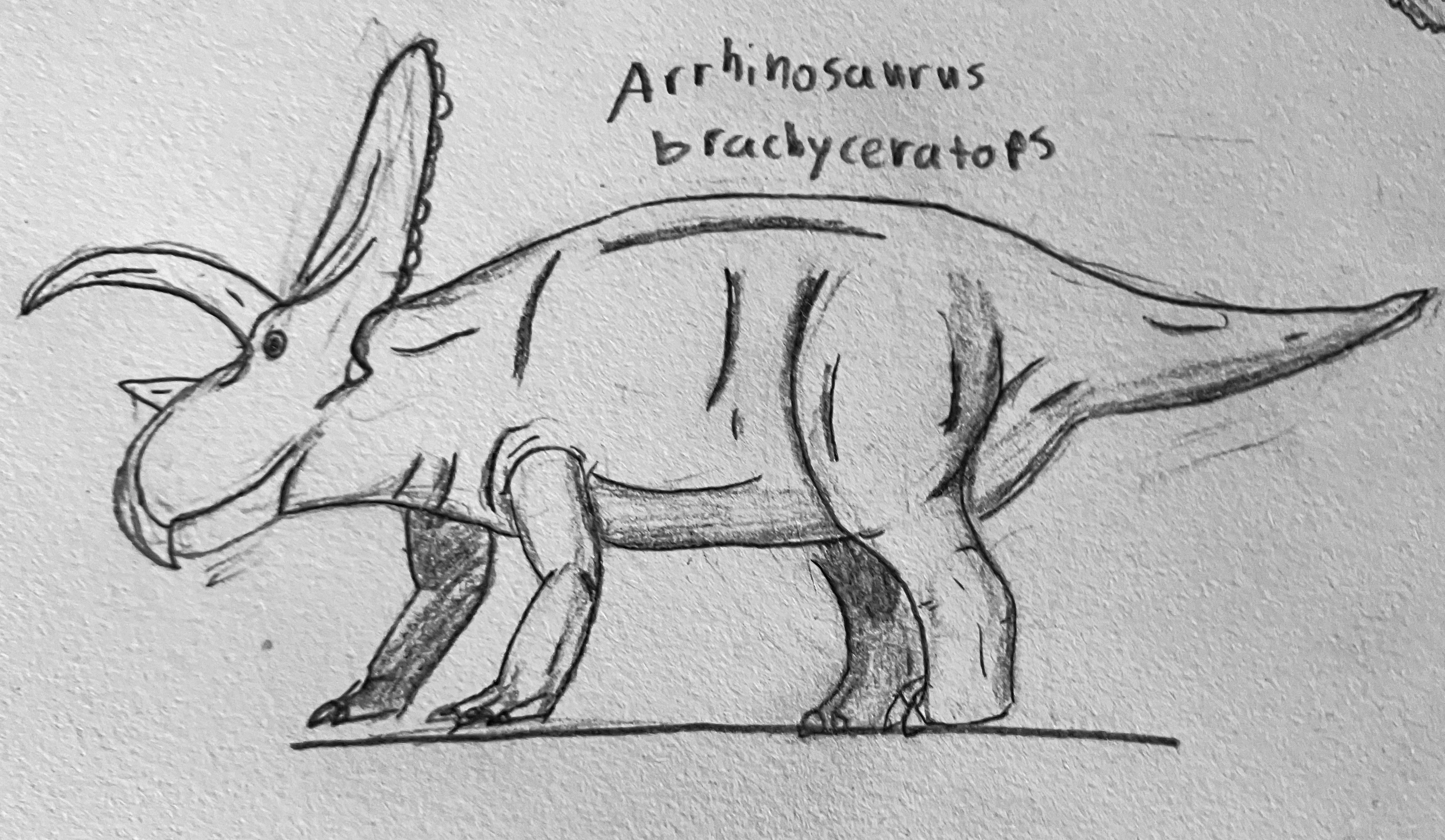 Arrhinoceratops Art | Fandom
